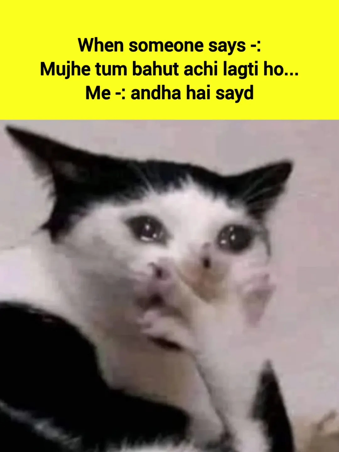 20 Hilarious Meme Backgrounds for Your Zoom Calls (2) – EĞİTİM KÜLTÜR