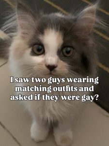 20 Hilarious Meme Backgrounds for Your Zoom Calls – EĞİTİM KÜLTÜR